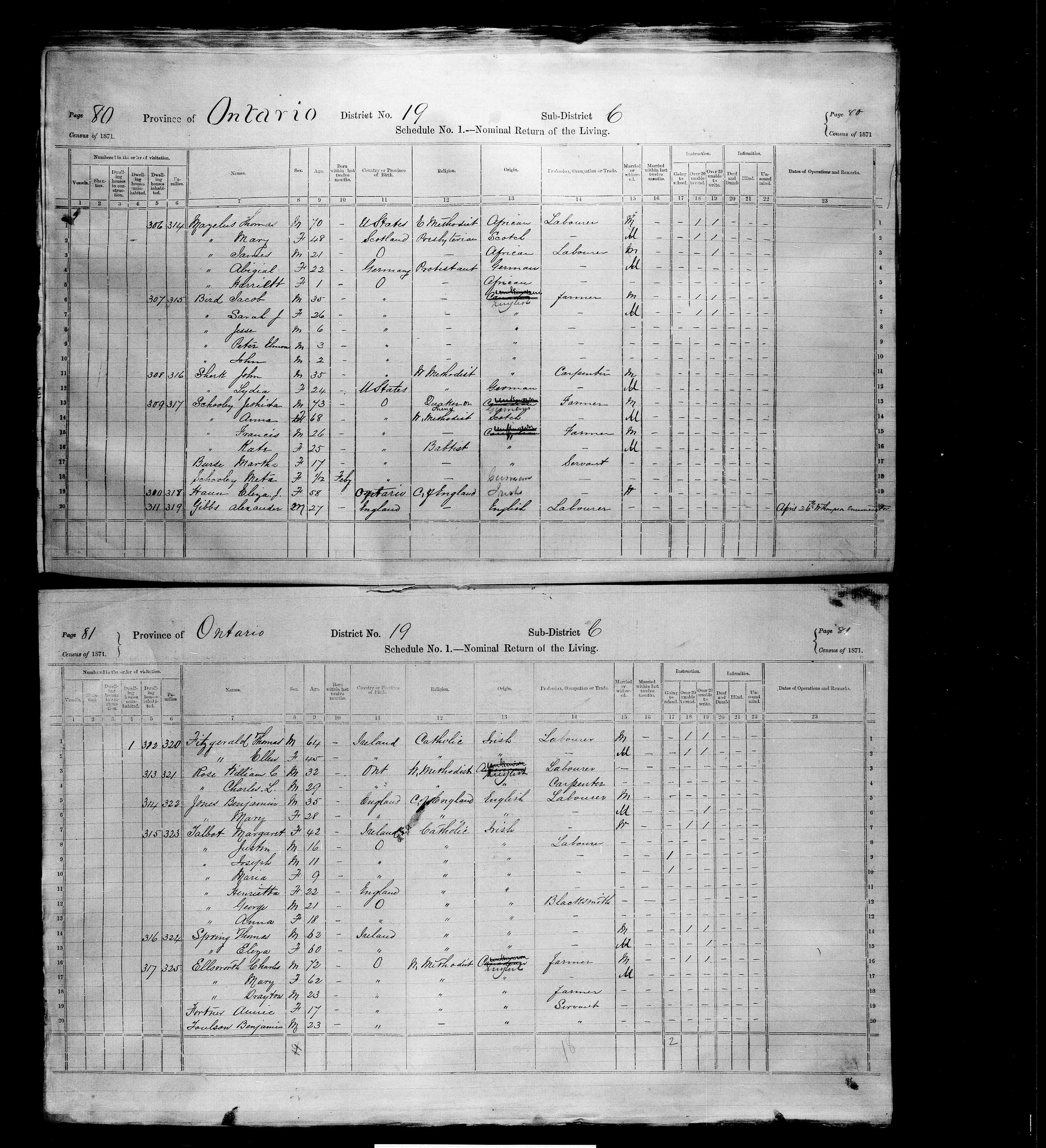 1871 Census Schooley
